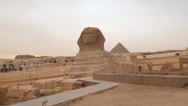 Great Sphinx of Giza, Colossal Limestone Statue Stock Video - Video of ...