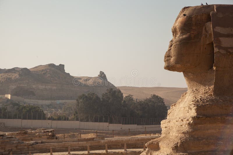 The Great Sphinx in Giza stock photo. Image of sphinx - 141785896