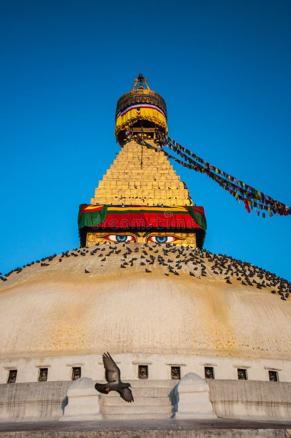 The Great stupa stock image. Image of pigeon, pilgrim - 28822207