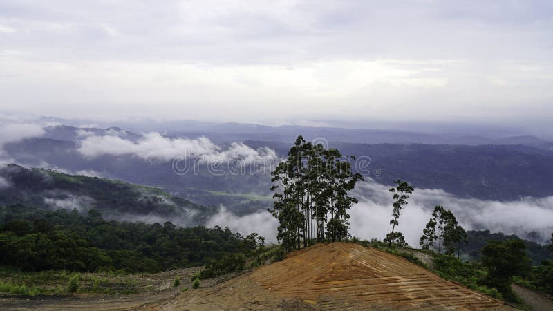 Kolukkumalai Sunrise View Point in Munnar, Kerala, India Stock Image ...