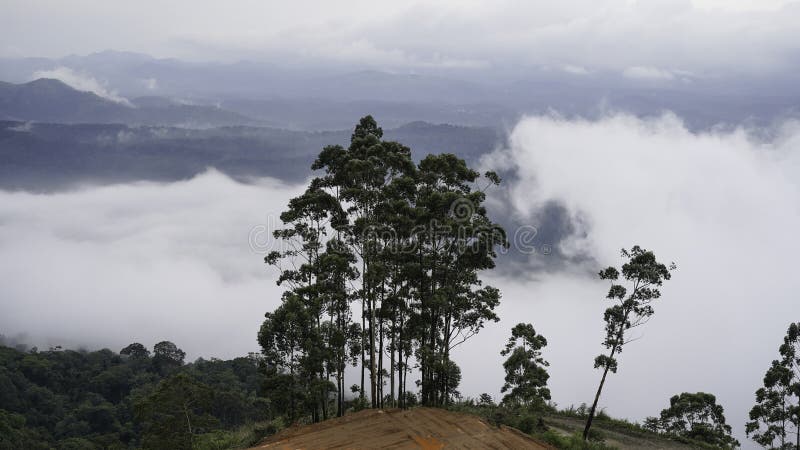 Kolukkumalai Sunrise View Point in Munnar, Kerala, India Stock Photo ...