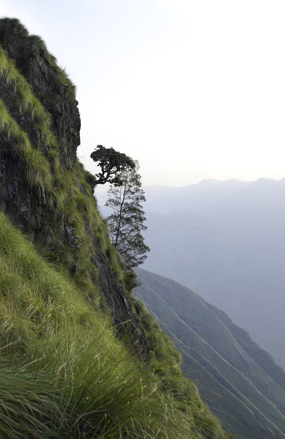 Kolukkumalai Sunrise View Point in Munnar, Kerala, India Stock Photo ...
