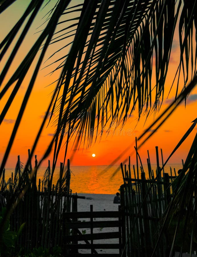 A great sunset view stock photo. Image of great, yellow - 206823562