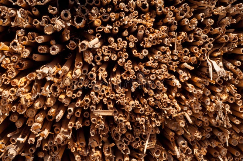 100+ Great textures Free Stock Photos - StockFreeImages