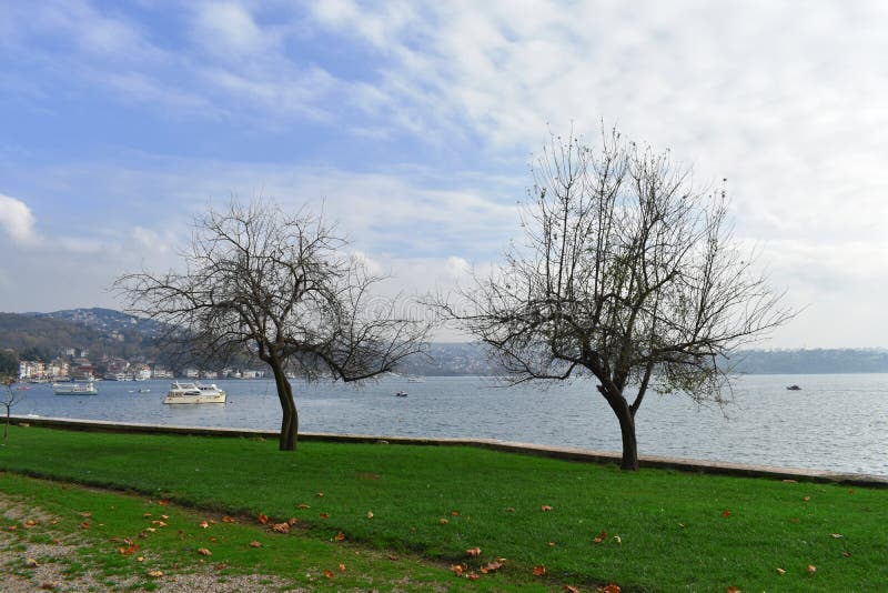 Great Tree Views and Two Views of the Bosphorus, Istanbul. Stock Image ...