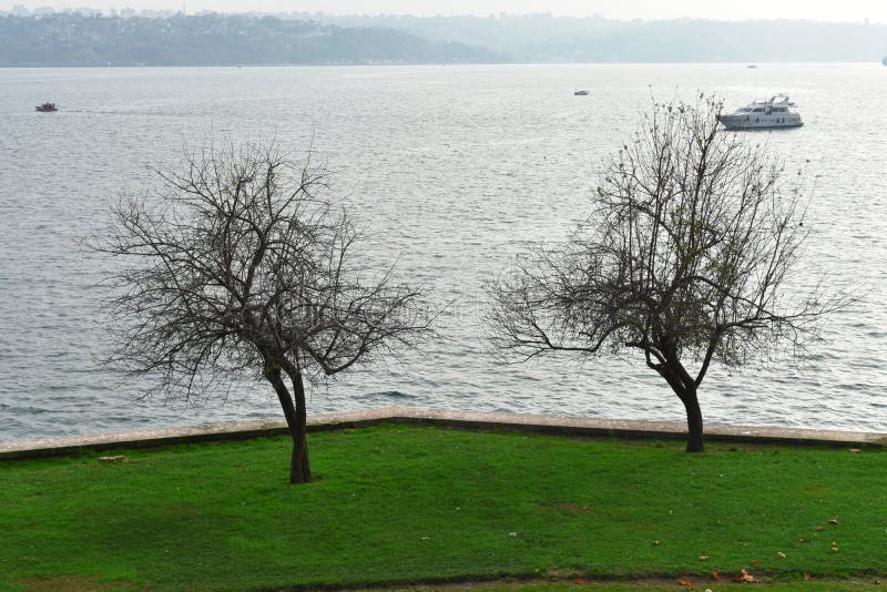 Great Tree Views and Two Views of the Bosphorus, Istanbul. Stock Photo ...