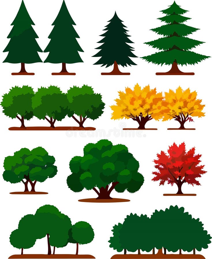 Great Trees Bushes Shrubs Seasesonal Vector Art Stock Vector ...
