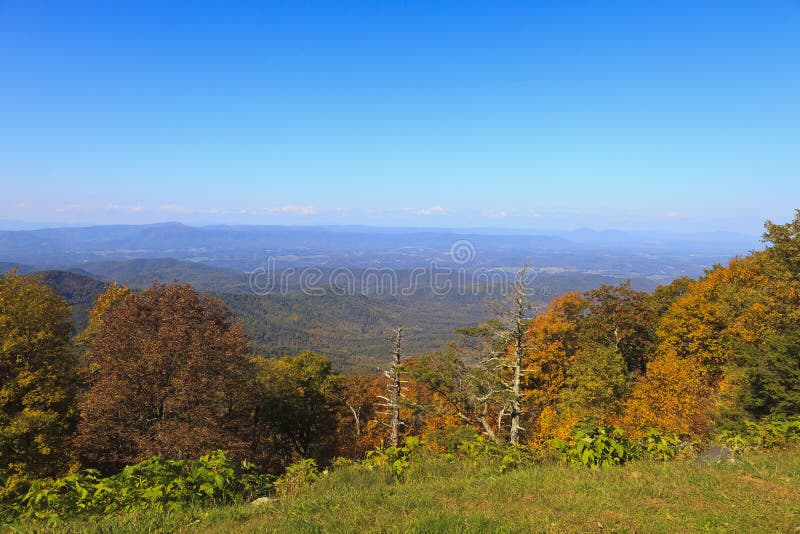 The Great Valley stock image. Image of scene, forest - 79815065