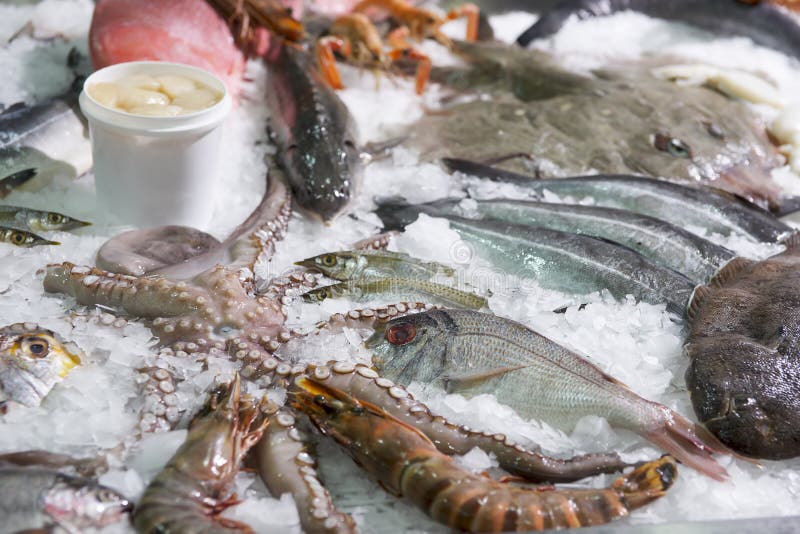 Great Variety of Fish and Seafood Stock Image - Image of mouth ...