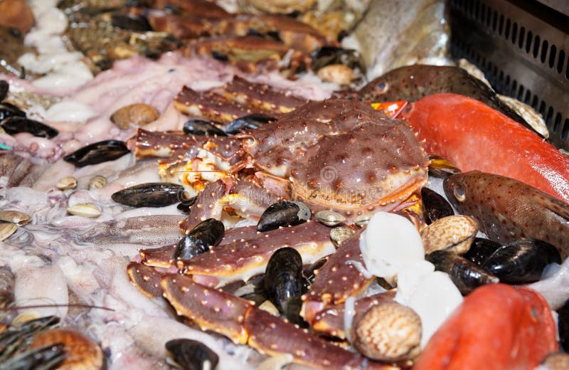 Great Variety of Fish and Seafood Stock Image - Image of food, bazaar ...