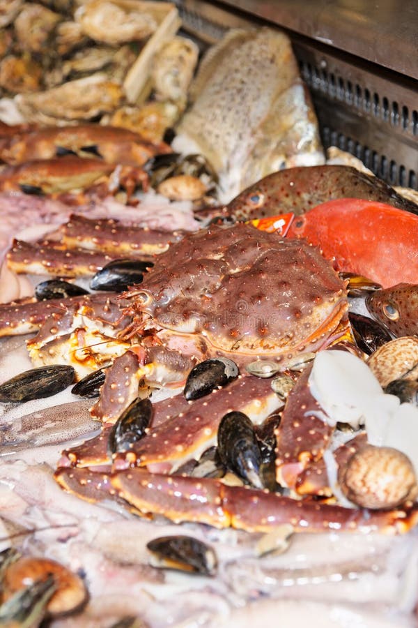 Great Variety of Fish and Seafood Stock Image - Image of assortment ...