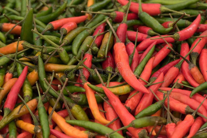 Variety Of Fresh Colorful Chili Peppers Stock Photo - Image of pepper ...