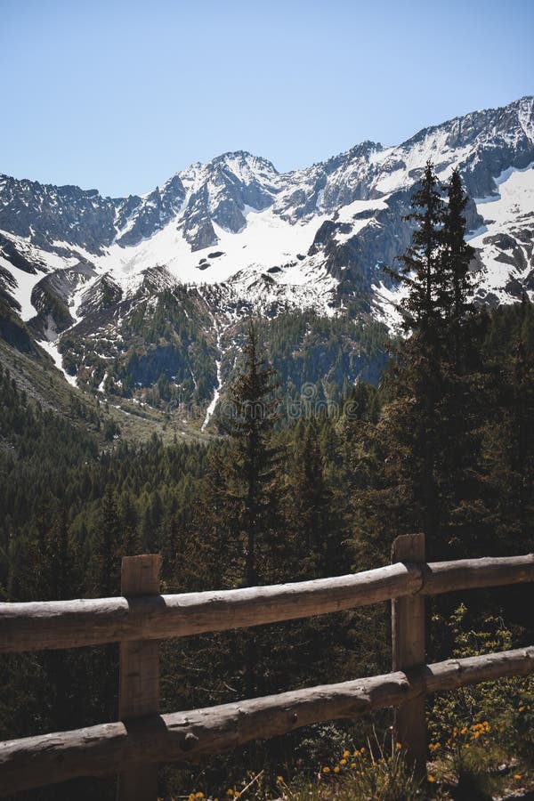 A Great View on an Italian Forest. Stock Image - Image of nature ...