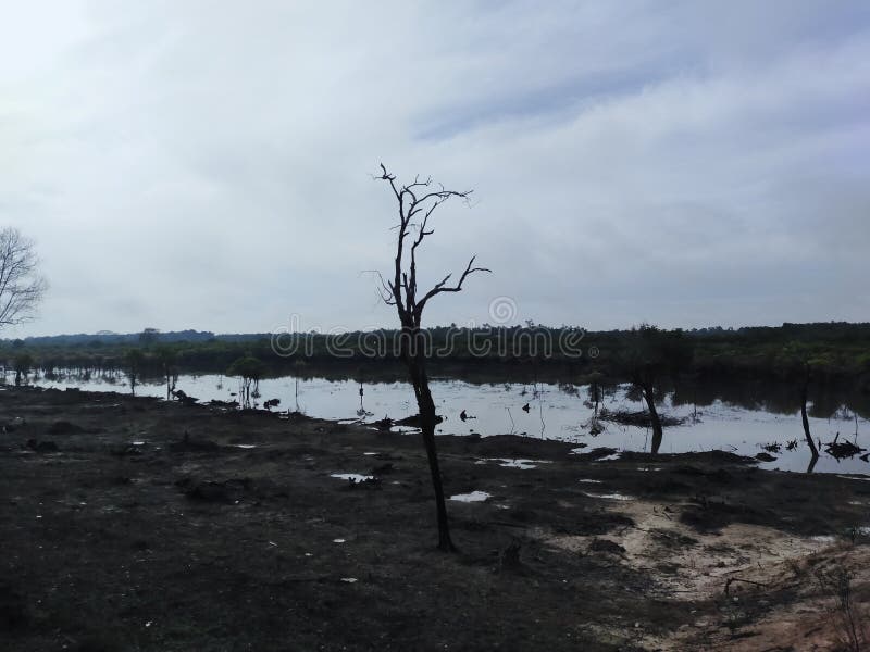 Great View on the Lake Repi Stock Photo - Image of beach, marsh: 205814218