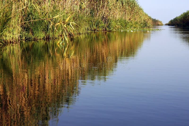 Great View of a Small Channel from Danube Delta Stock Photo - Image of ...