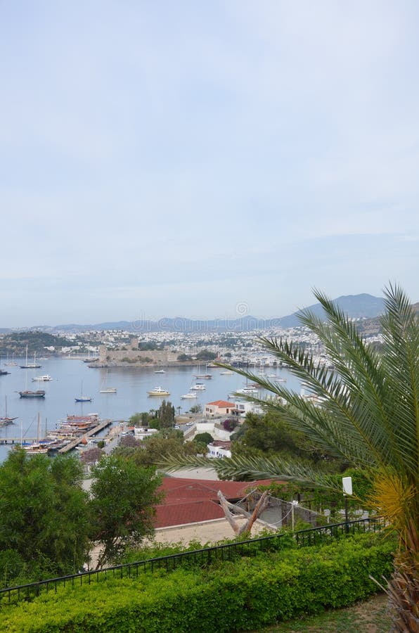 Bodrum Castle Peacocks Stock Photos - Free & Royalty-Free Stock Photos ...