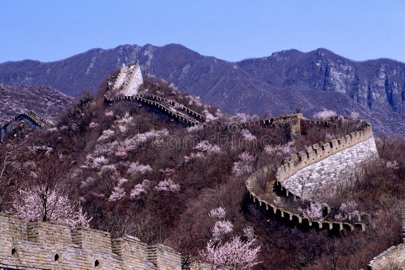 The great wall stock photo. Image of hill, dynasty, flower - 5240052