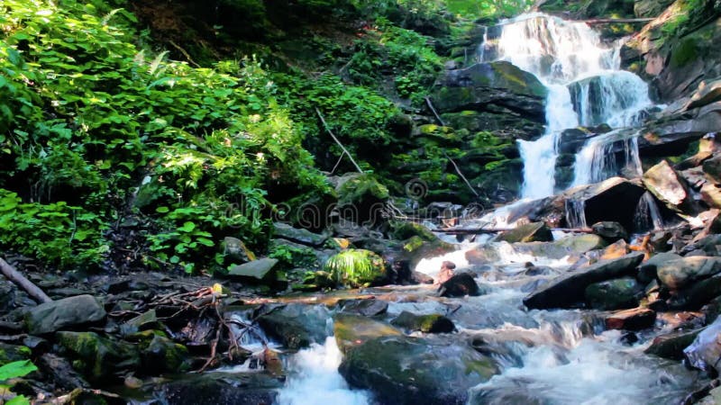 Great Water Fall in the Forest Stock Video - Video of place, clean ...