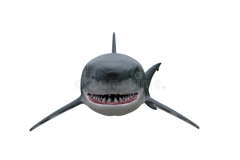Great White Shark Top View. 3D Render Isolated on White Stock Image ...