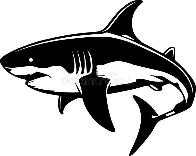 Great White Shark Logo Monochrome Design Stock Vector - Illustration of ...