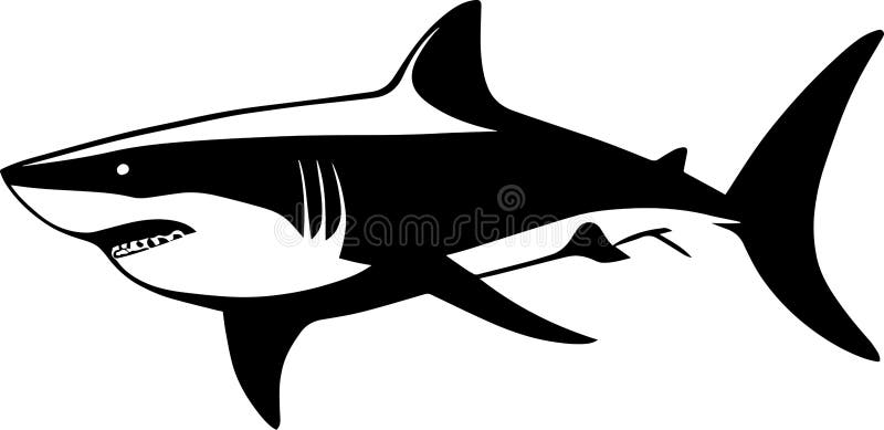 Great White Shark Logo Monochrome Design Stock Vector - Illustration of ...