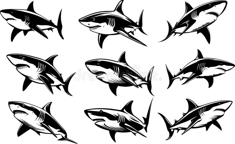 Great White Shark Logo Set Monochrome Design Stock Vector ...