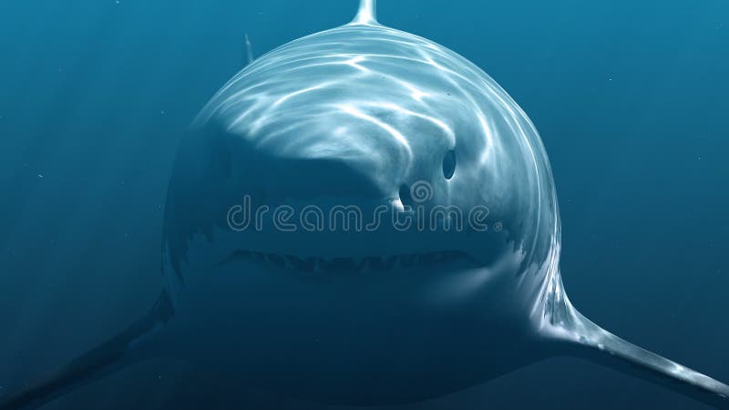 Great White Shark (Megalodon) Attack. Realistic 3d Animation, 4K Ultra ...