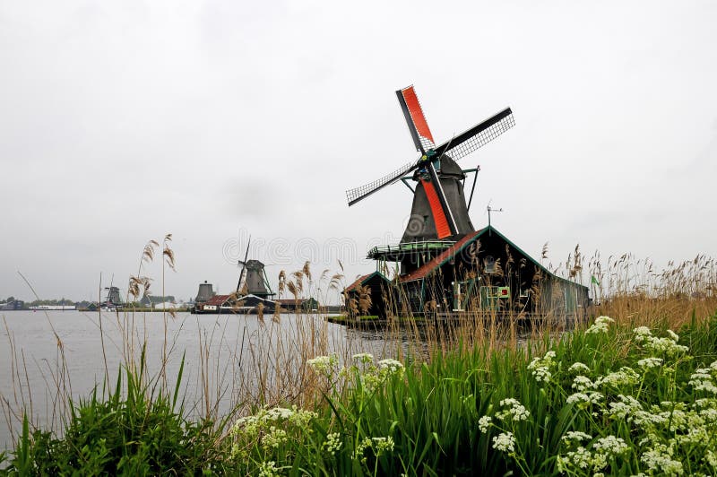 Windmill of Netherland in Coast Stock Image - Image of netherland ...