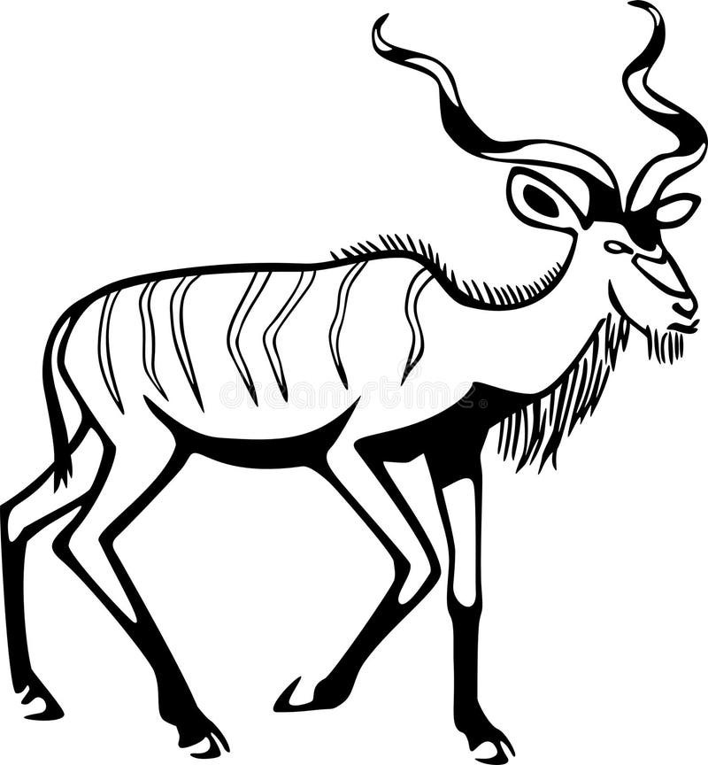 Greater Kudu Head Minimalist Drawing. Continuous Line Art. Vector ...
