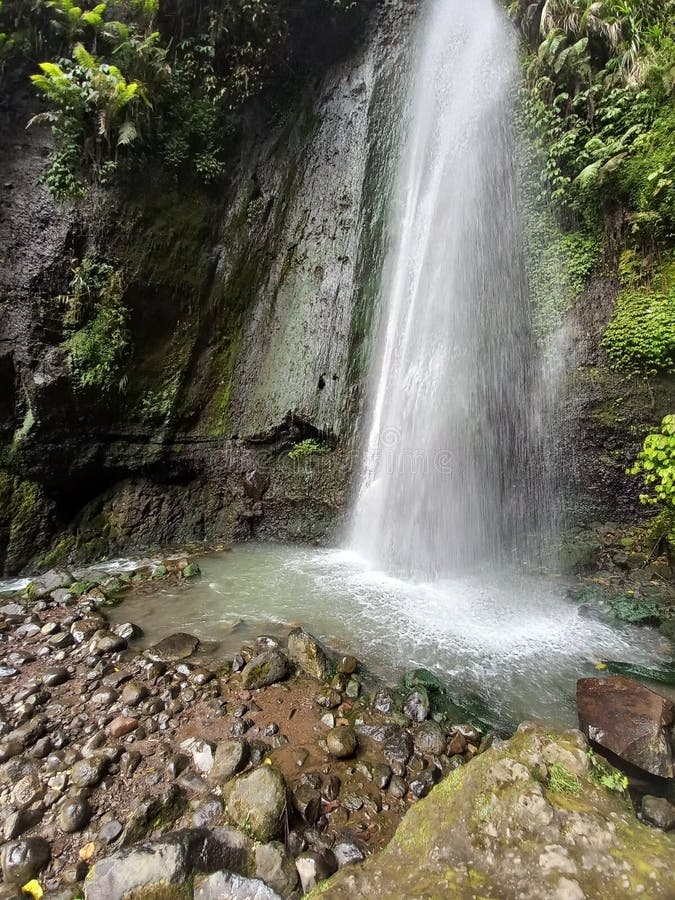 Greats nature stock photo. Image of autumn, rapid, views - 261949068