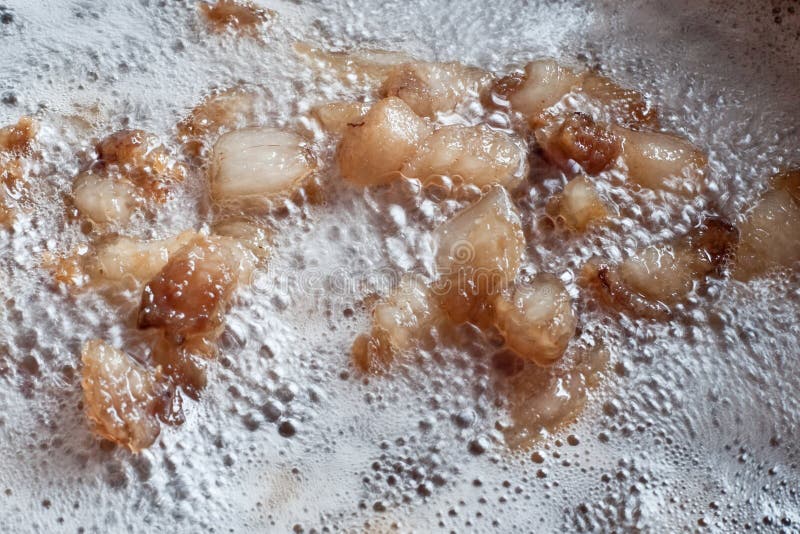 Greaves stock photo. Image of gourmet, grease, meat, national - 22617974