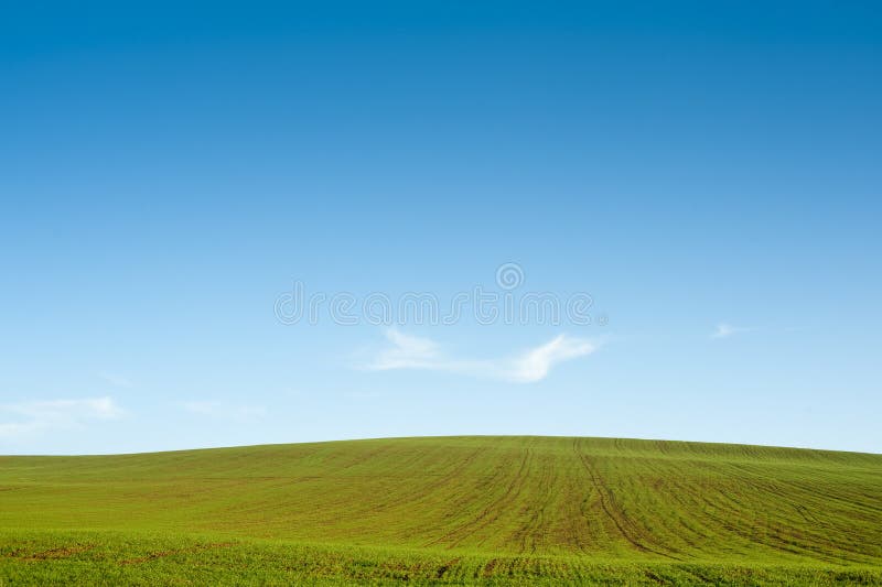Gree Field Blue Sky Horizon Stock Photo - Image of autumn, cloud: 12010616