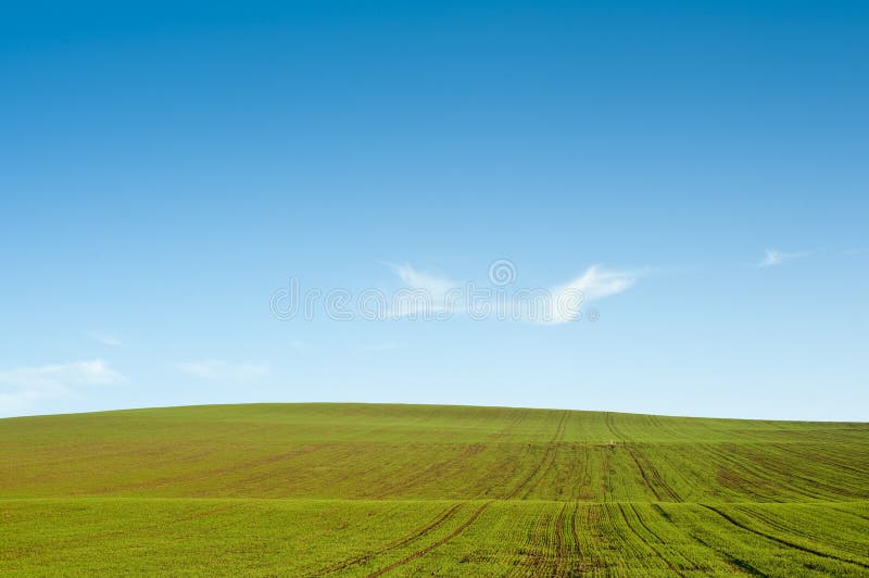 Gree Field Blue Sky Horizon Stock Image - Image of pasture, grassland ...
