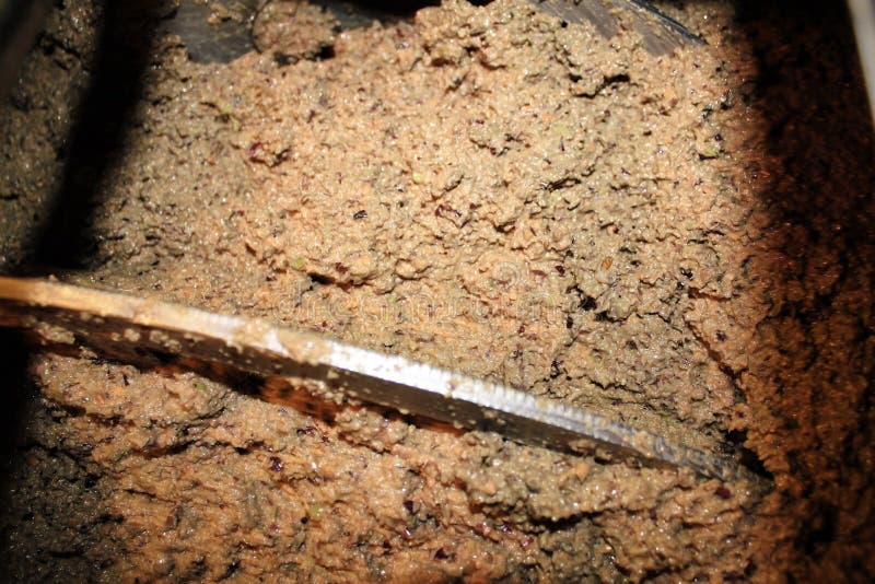 Olive Paste in Malaxation Tank during Extra Virgin Olive Oil Extraction ...