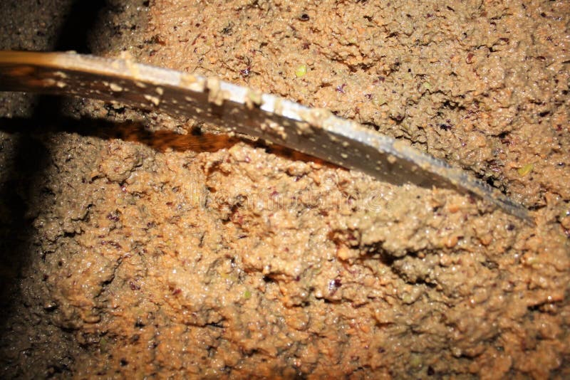 Greece, Attica, Olive Paste in Malaxation Tank in Olive Oil Mill Stock ...