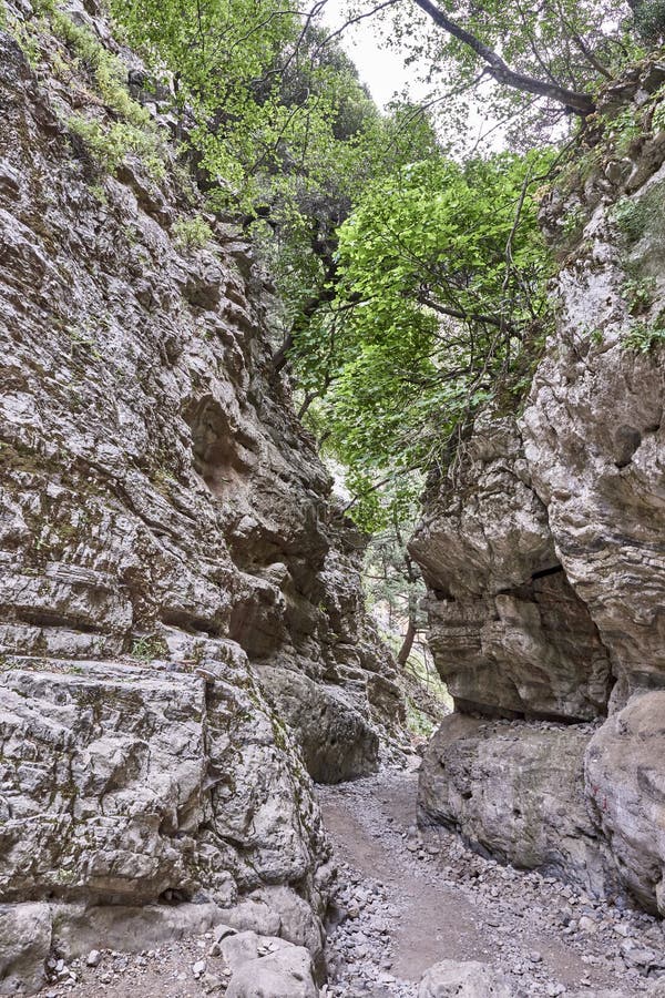 Greece. Crete. Imbros Gorge Stock Image - Image of rocky, greece: 121719677