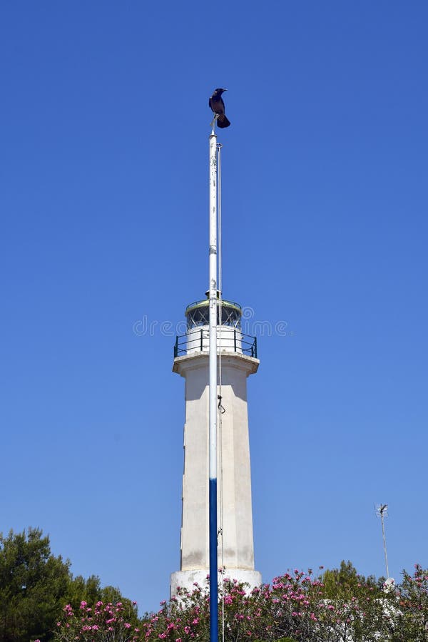 Greece, Halkidiki, Raven on Flagpole Stock Image - Image of destination ...