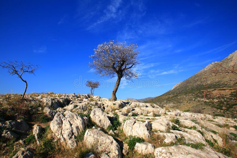 Greece,Mykines,Micene,archeologic Site. Editorial Image - Image of ...