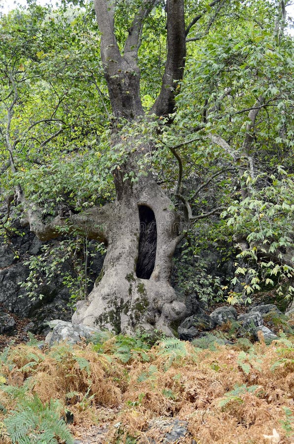 Greece, Samothrace Island stock image. Image of plane - 78987645