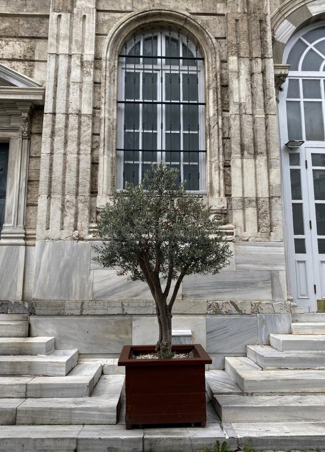 Greece style tree building stock image. Image of monastery - 267520207