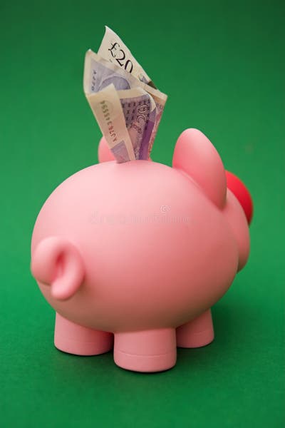 Greedy pig! stock image. Image of money, business, expenses - 3138299