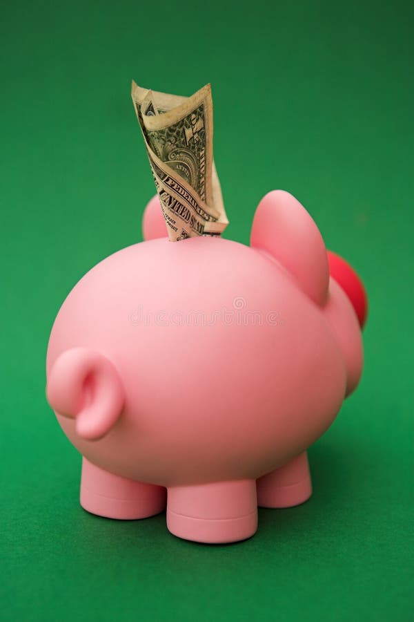 34+ Greedy pig Free Stock Photos - StockFreeImages