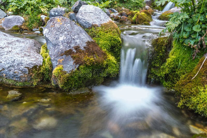 Brook Stream Water Nature Summer Mountains Central Asia Stock Photo ...