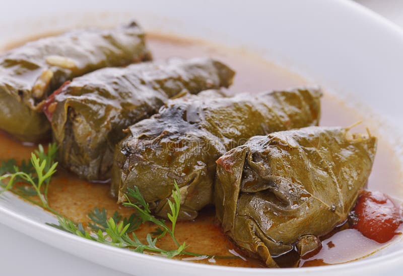 Greek Dolma stock photo. Image of plate, leaf, closeup - 58262844