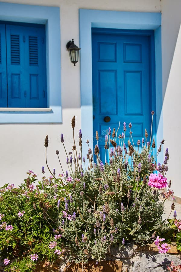 Greek Door with Lavender in Front Stock Image - Image of karpathos ...