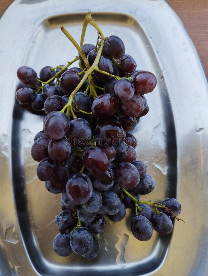Greek Grapes of the Moschato Varietywine Stock Photo - Image of greek ...