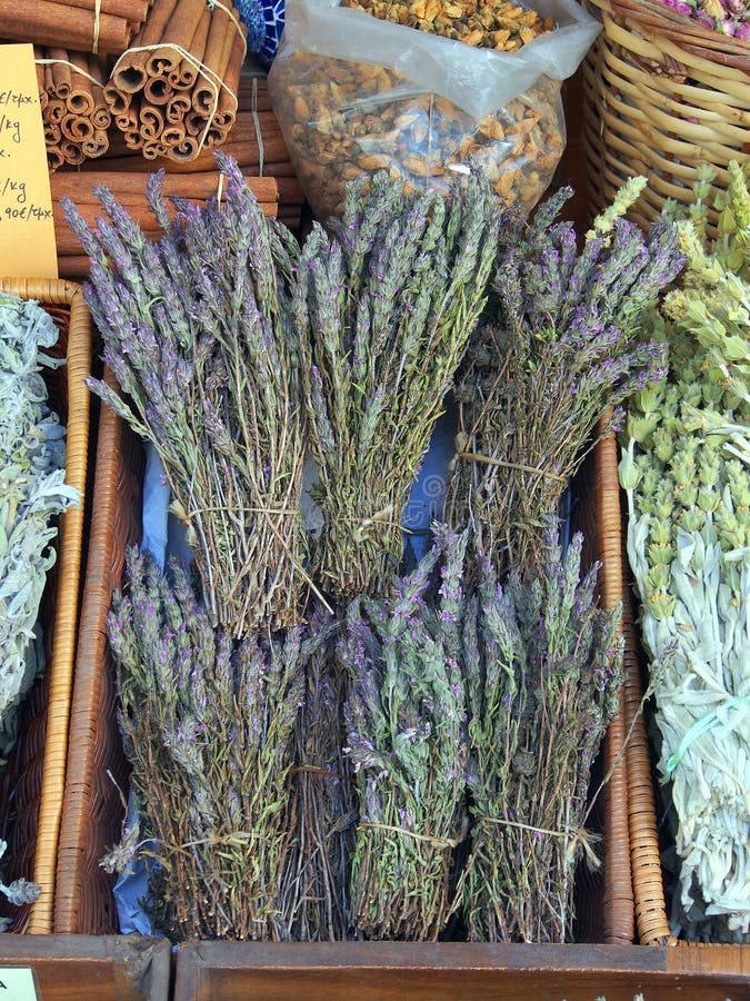 Greek Herbal Tea stock photo. Image of flower, central - 44011980