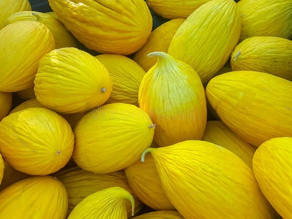 Greek Melons. a Summer Fruit Stock Photo - Image of background, healthy ...