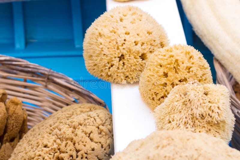 Greek Natural Yellow Sponge on the Market Stock Image - Image of body ...