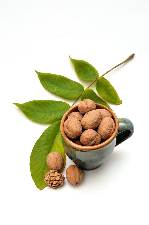 Greek nuts stock photo. Image of kernel, fruit, health - 59972174